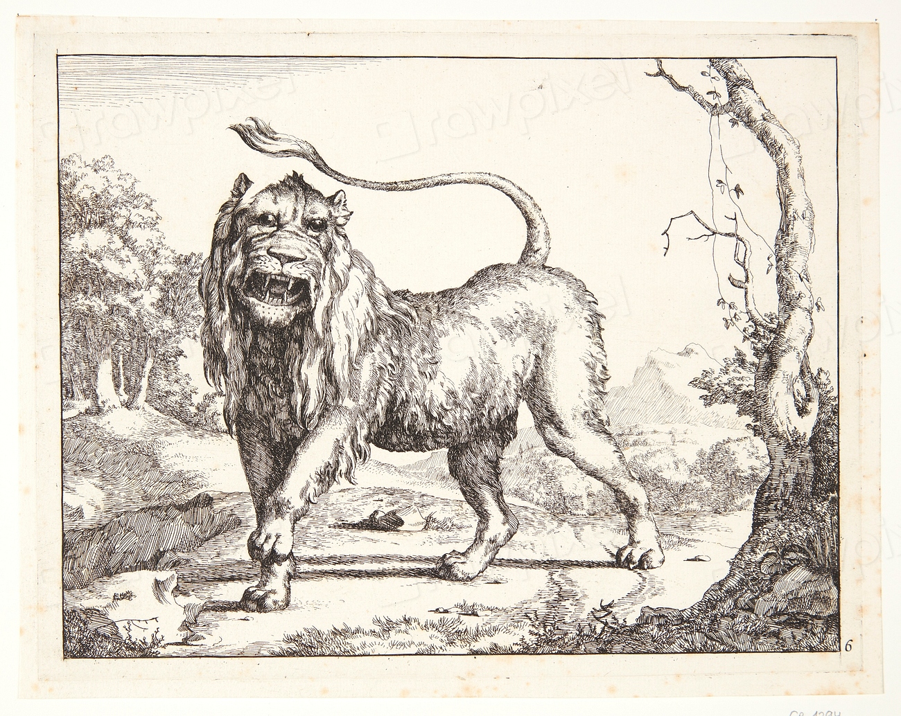 Roaring lion Marcus de Bye | Free Photo Illustration - rawpixel