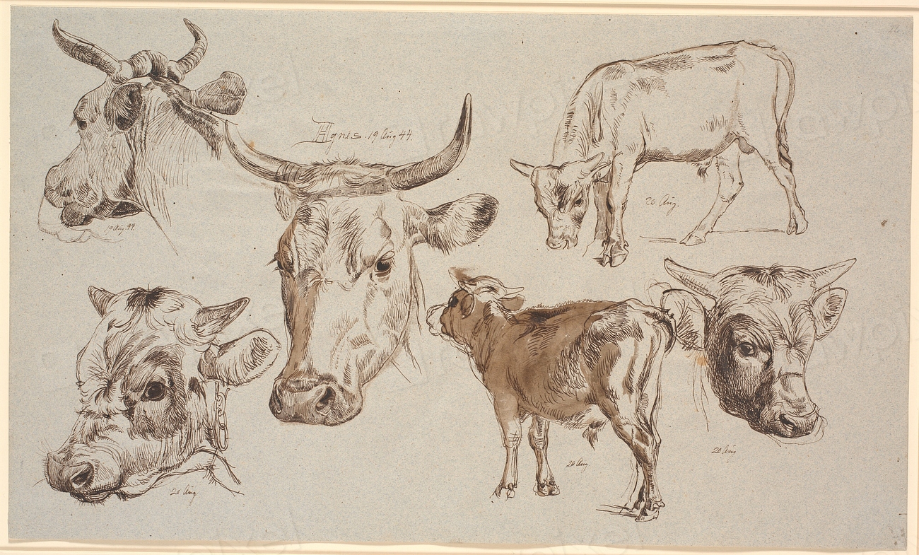 Study magazine Vognserup.Studies cow heads | Free Photo Illustration ...