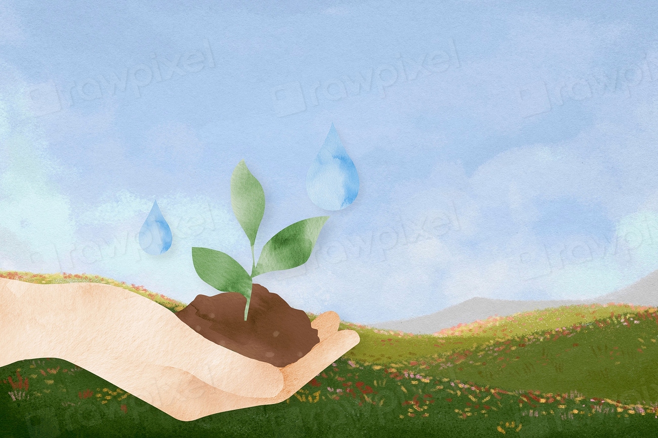 Sapling background, plant tree aesthetic | Premium Photo - rawpixel