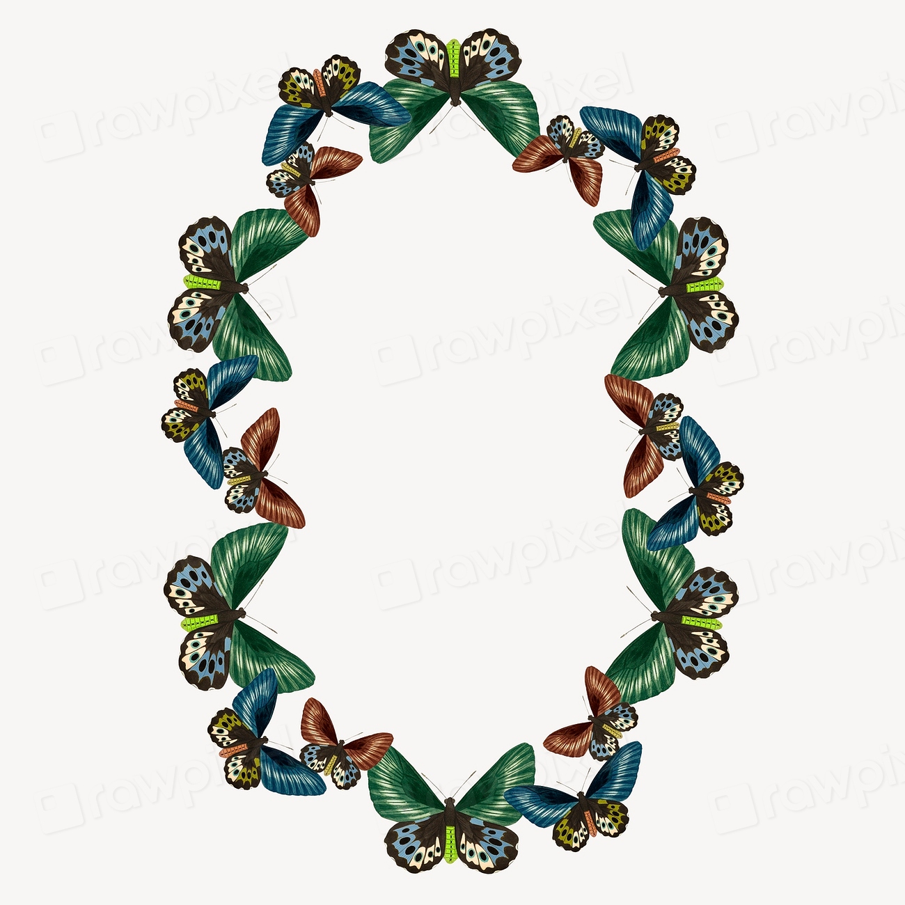 Exotic butterfly pattern frame psd | Premium PSD - rawpixel