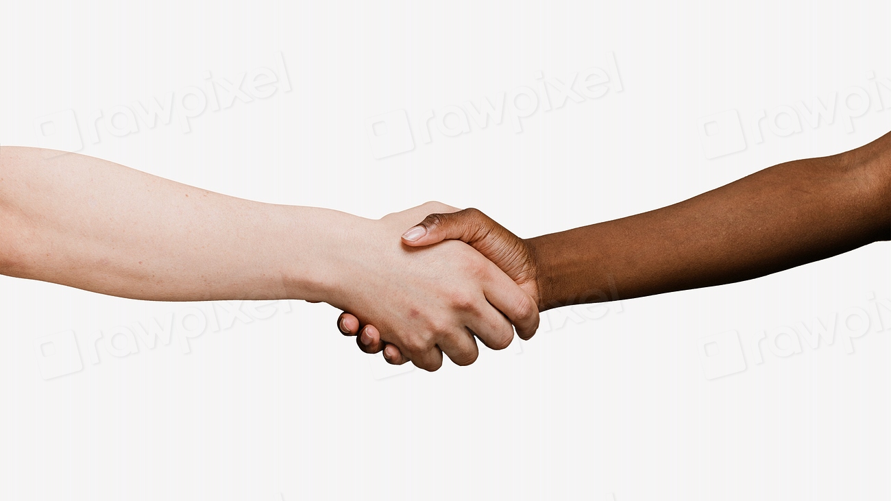 Diverse handshake isolated image | Premium Photo - rawpixel