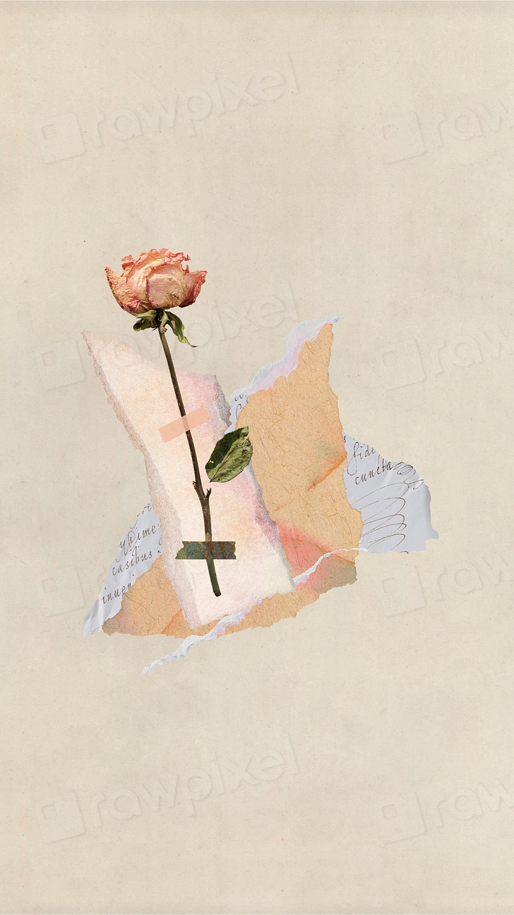 iPhone wallpaper aesthetic rose torn | Premium Photo - rawpixel