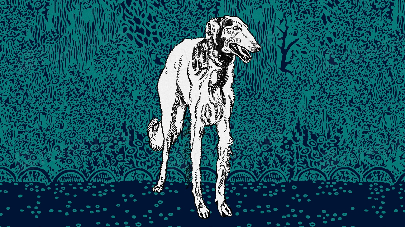 Greyhound illustration, green desktop wallpaper | Premium Photo ...