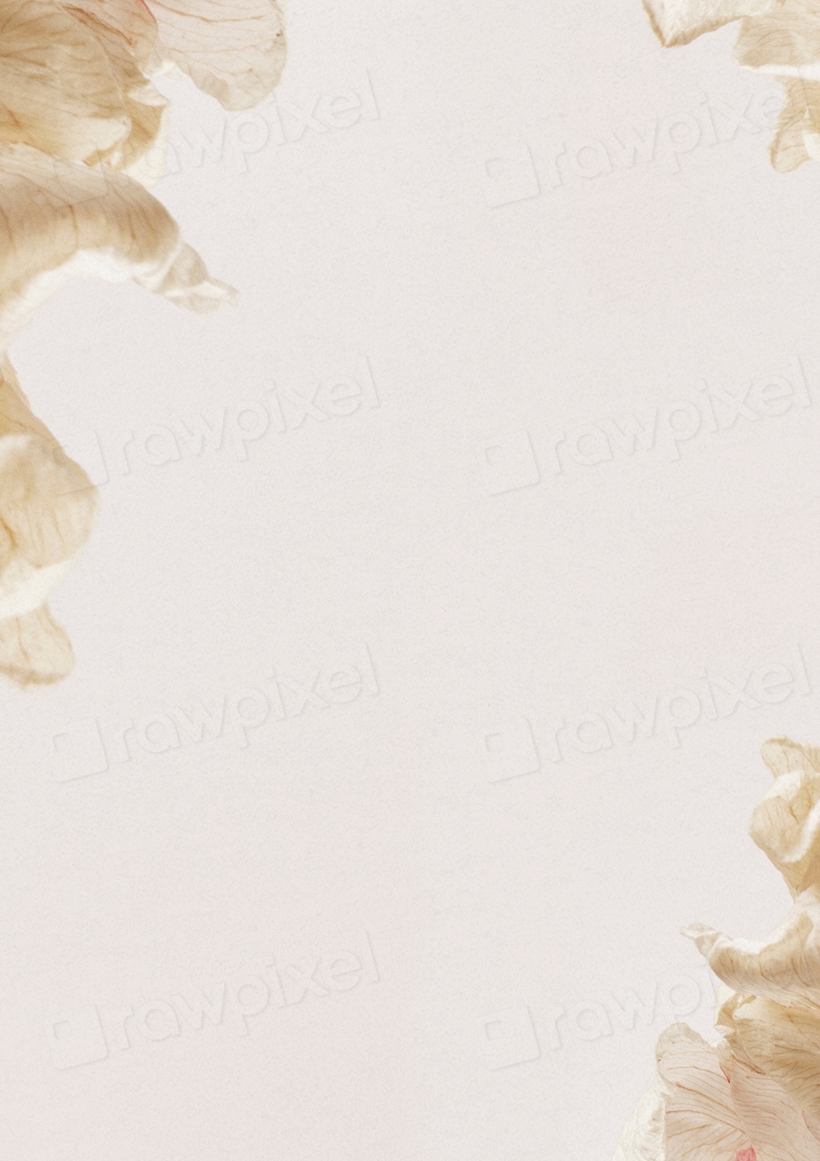 Beige aesthetic background, floral border | Premium Photo - rawpixel