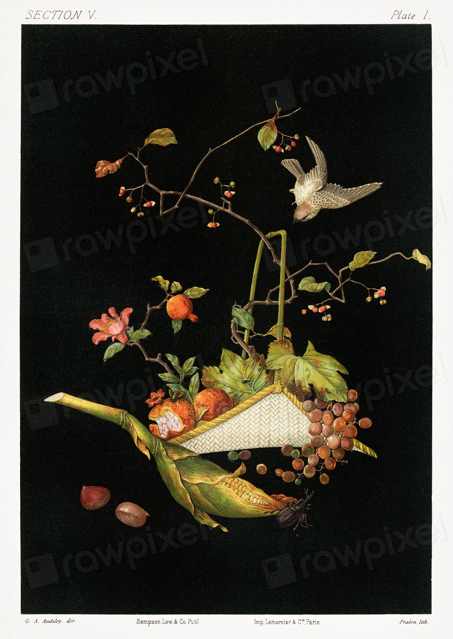 Japanese still life print section | Free Photo Illustration - rawpixel