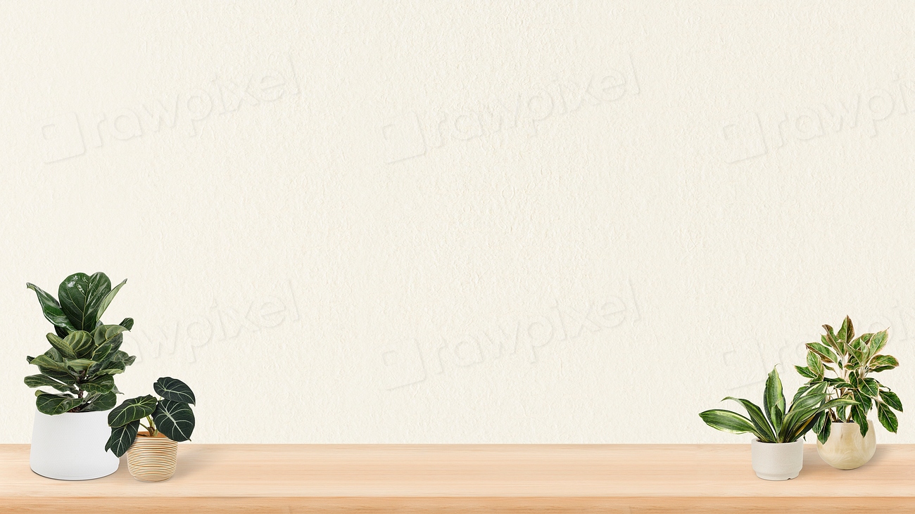 Plants on shelf desktop wallpaper | Free Photo - rawpixel