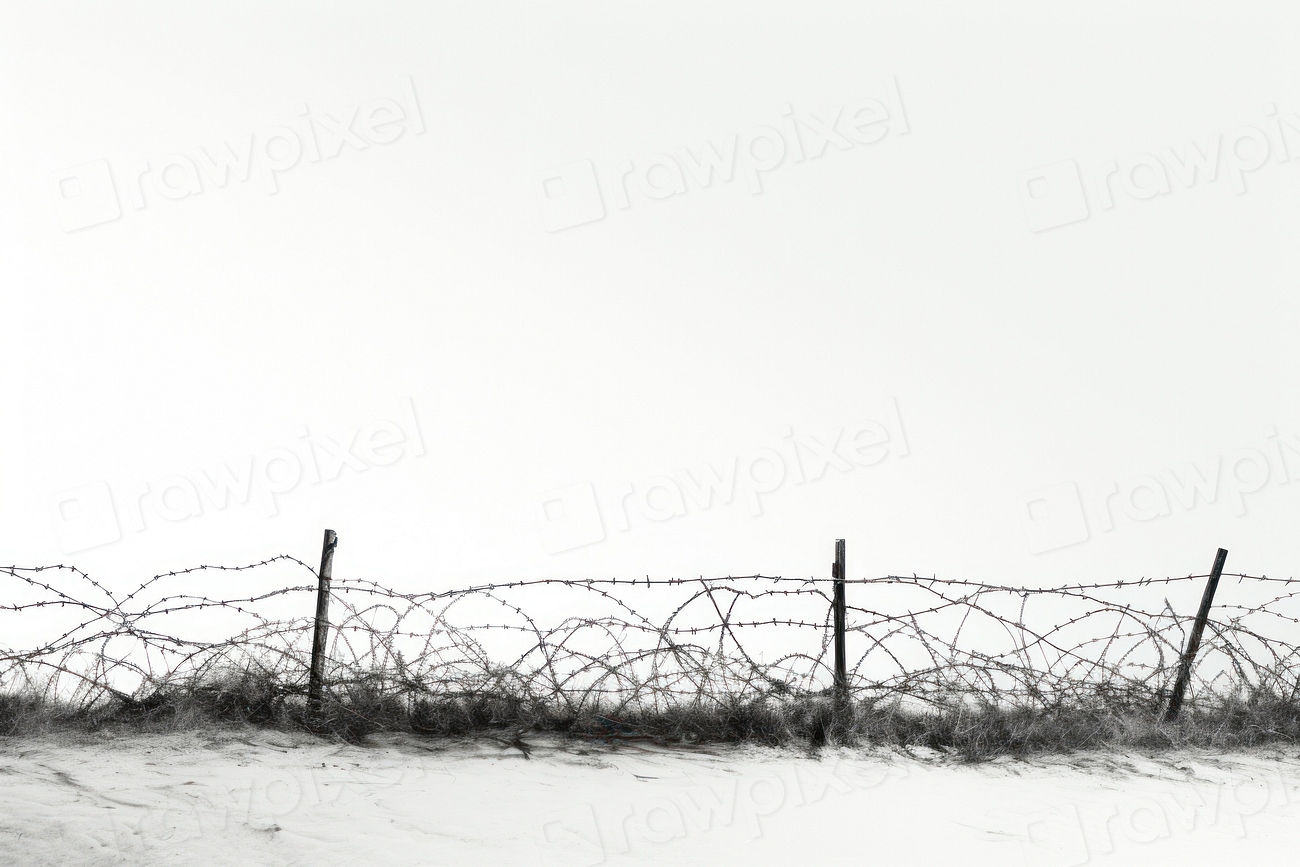 Wire fence white tranquility | Premium Photo - rawpixel