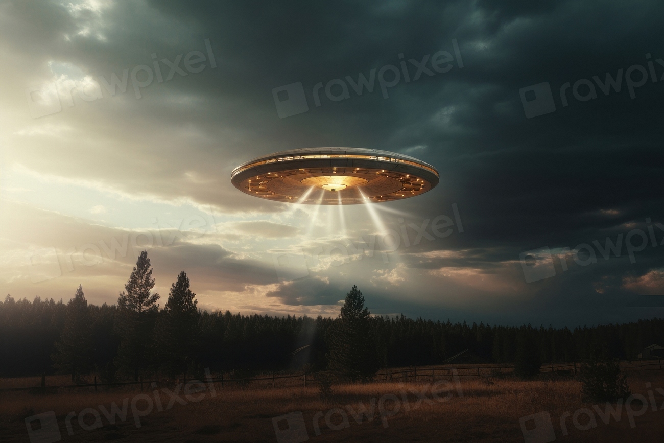 Sky outdoors nature plant. | Premium Photo - rawpixel