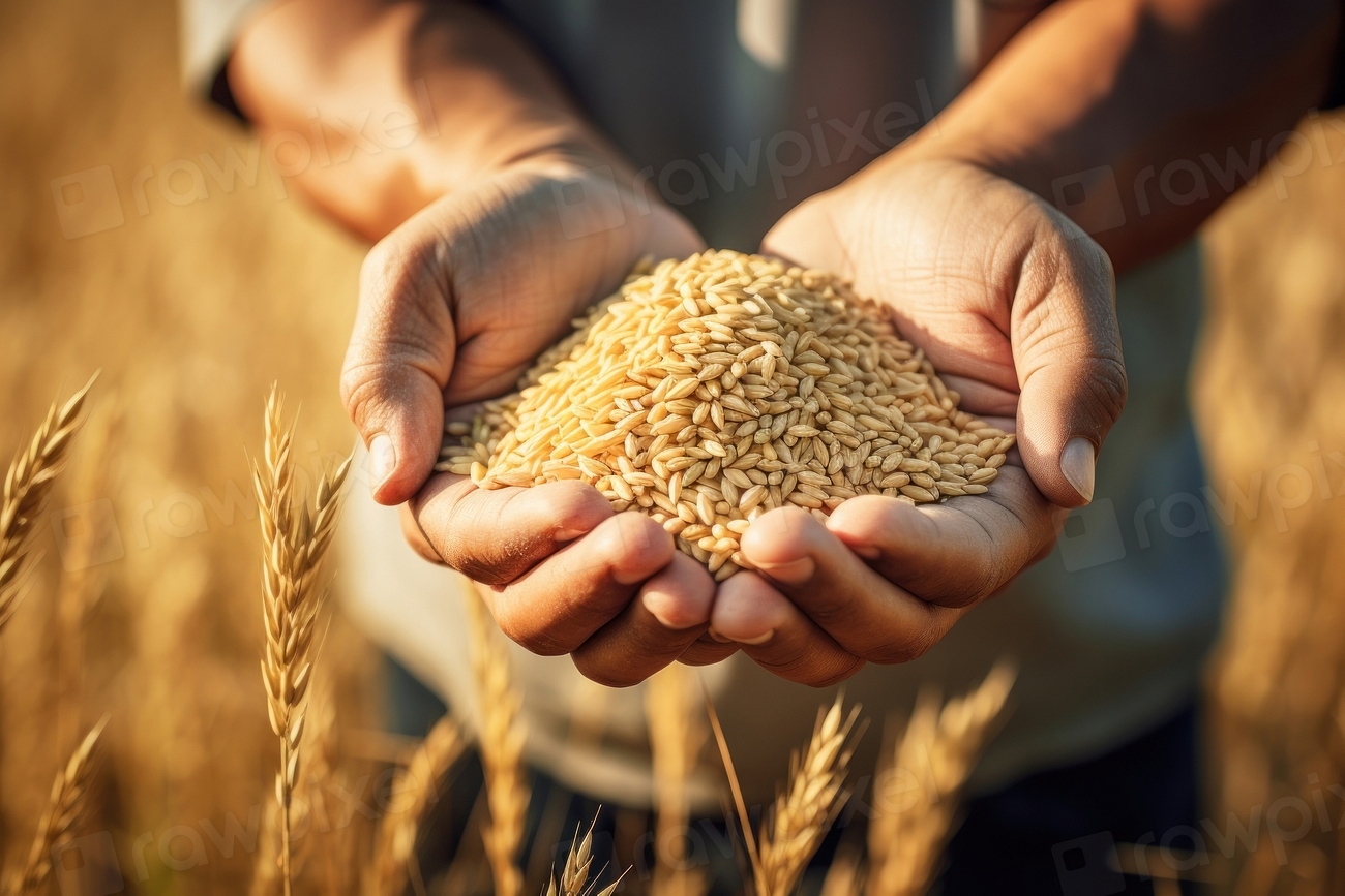 Agriculture holding farmer plant. AI | Free Photo - rawpixel