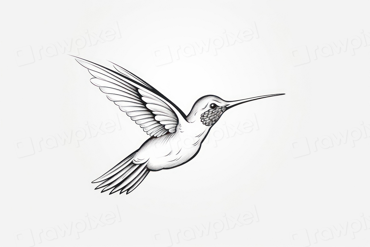 Hummingbird drawing animal flying. AI | Premium Photo Illustration ...