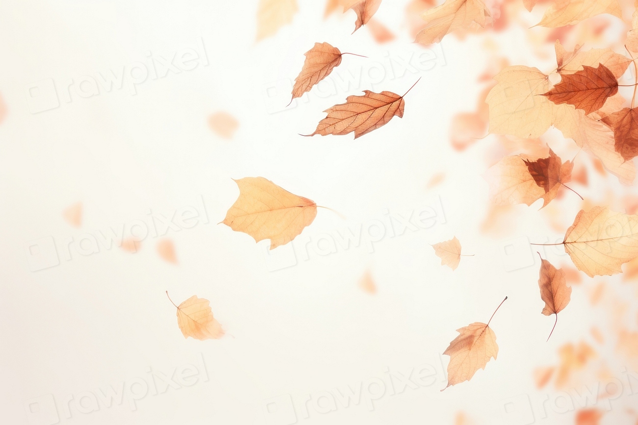 Backgrounds falling autumn leaves | Premium Photo - rawpixel