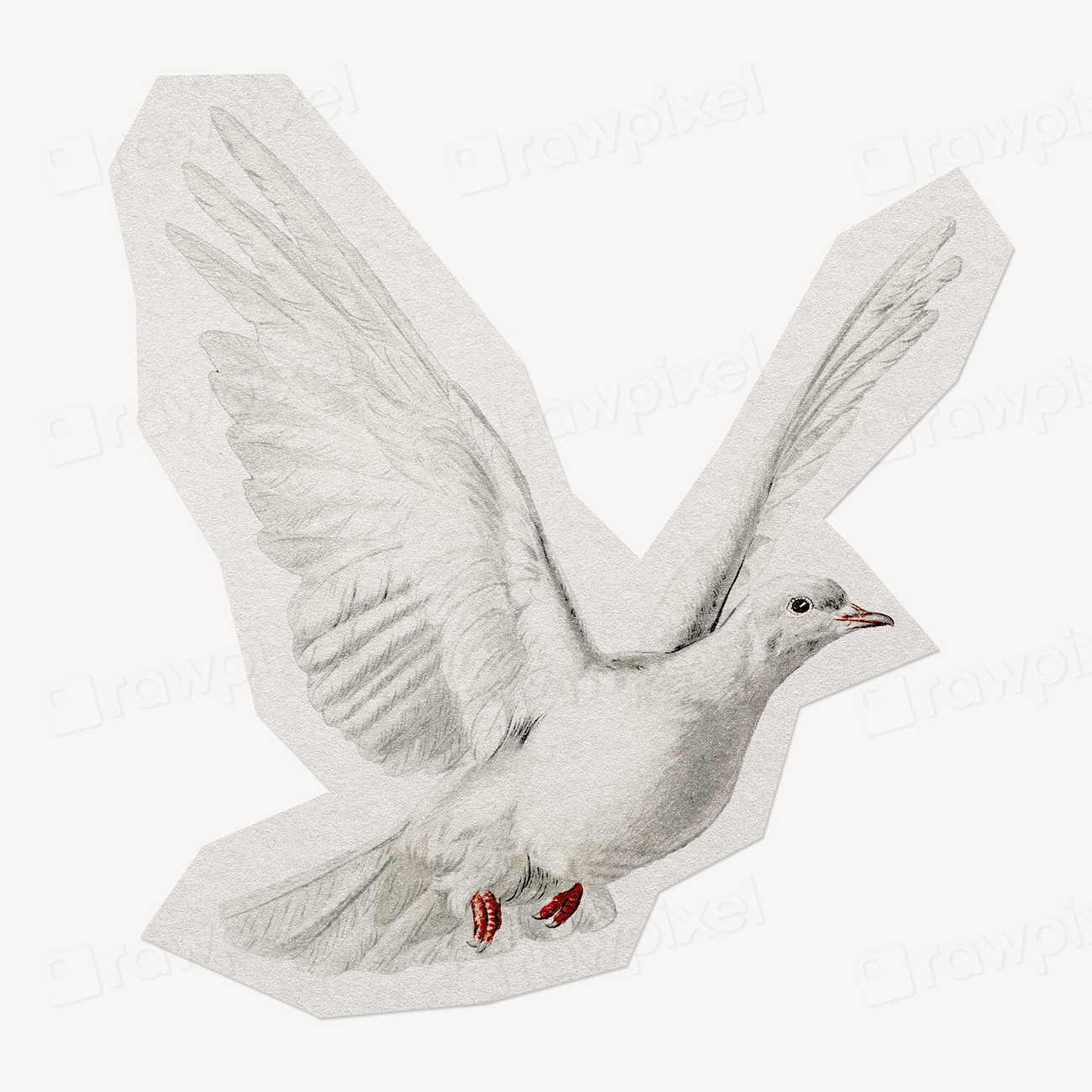 Flying dove paper cut isolated | Free Photo - rawpixel