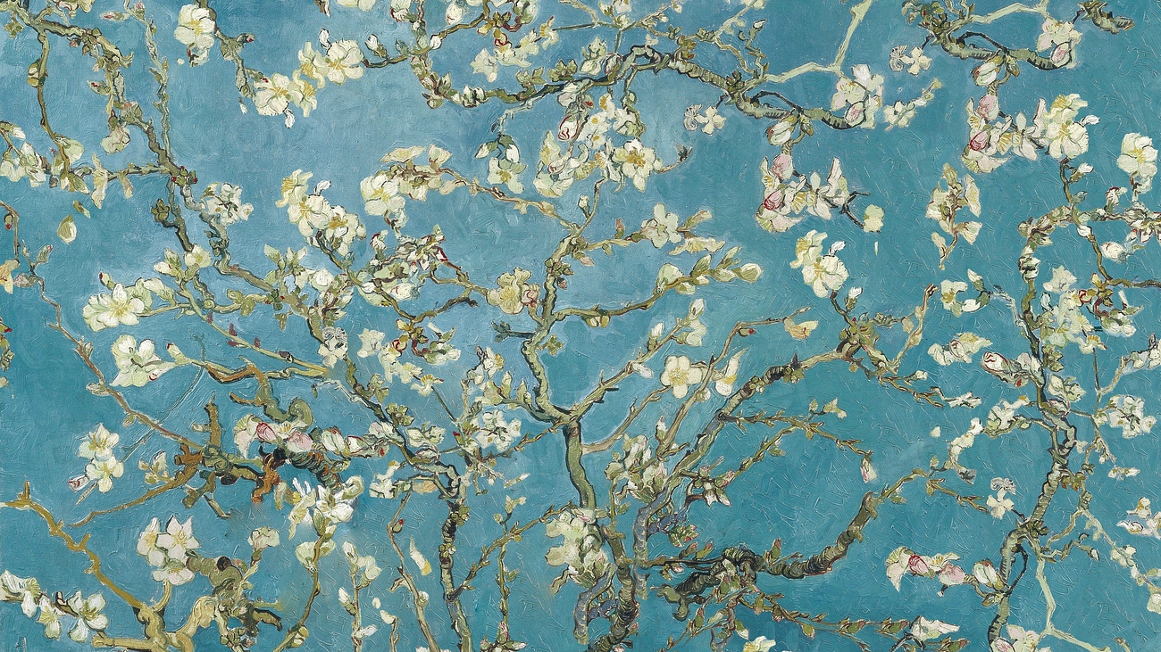 Aesthetic flower blue desktop wallpaper | Premium Photo - rawpixel