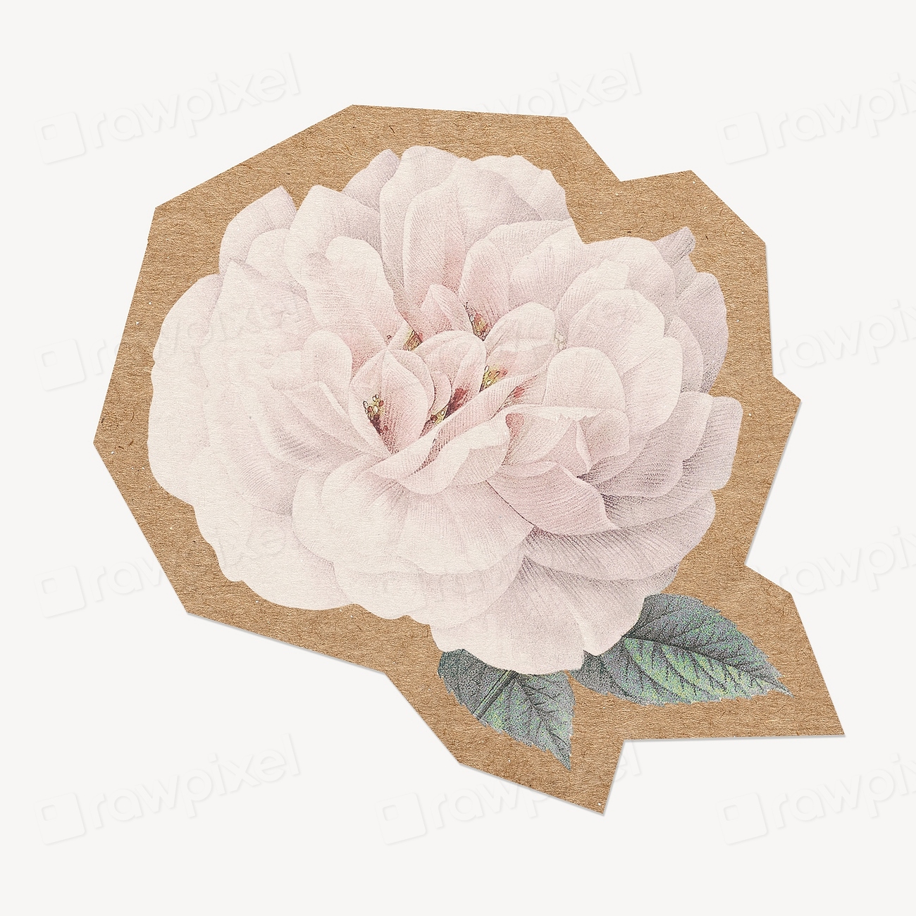 White flower, cut paper element | Premium Photo - rawpixel