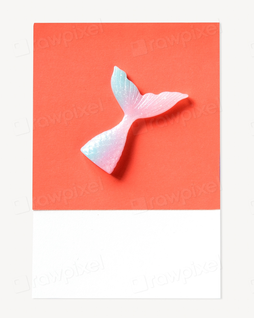 Rainbow Mermaid Tail Isolated Image Premium Photo Rawpixel