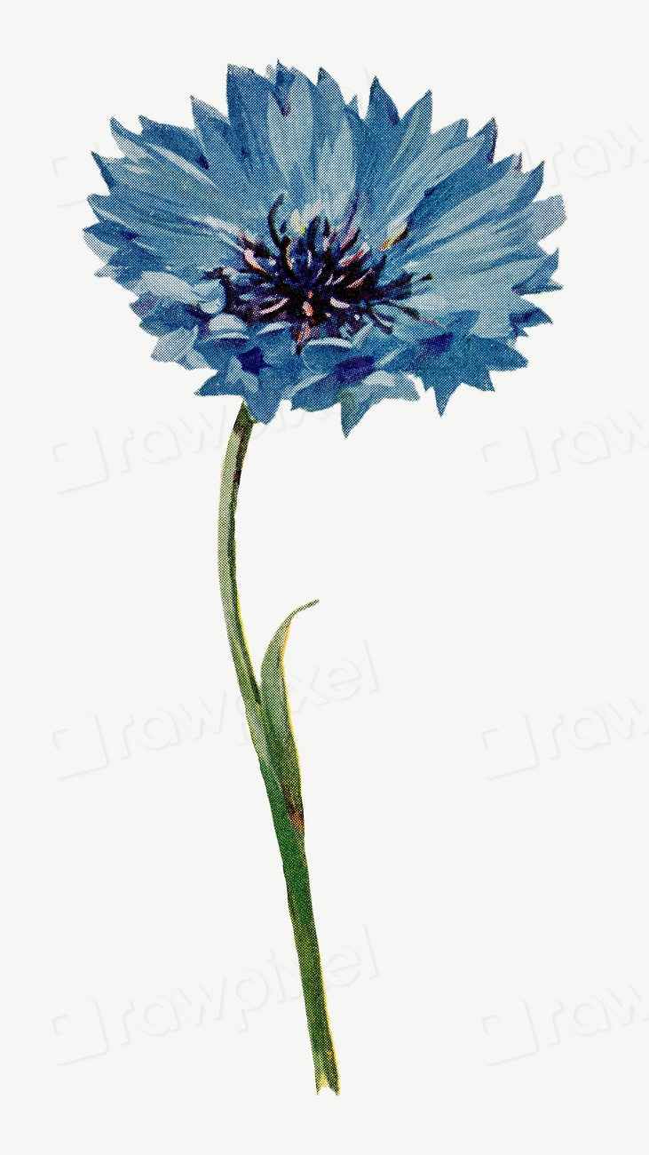 Blue flower collage element psd | Premium PSD - rawpixel