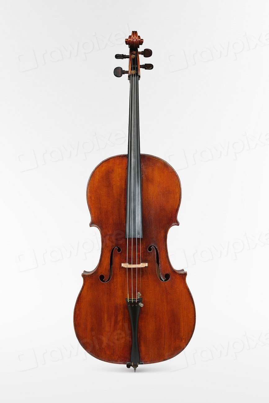 Violincello (mid-19th century), musical instrument | Free Photo - rawpixel