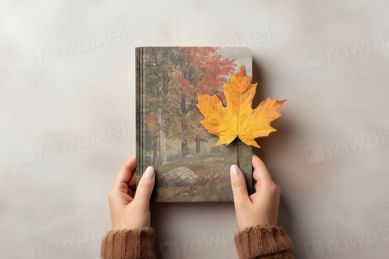 Book cover, packaging design resource | Free Photo - rawpixel