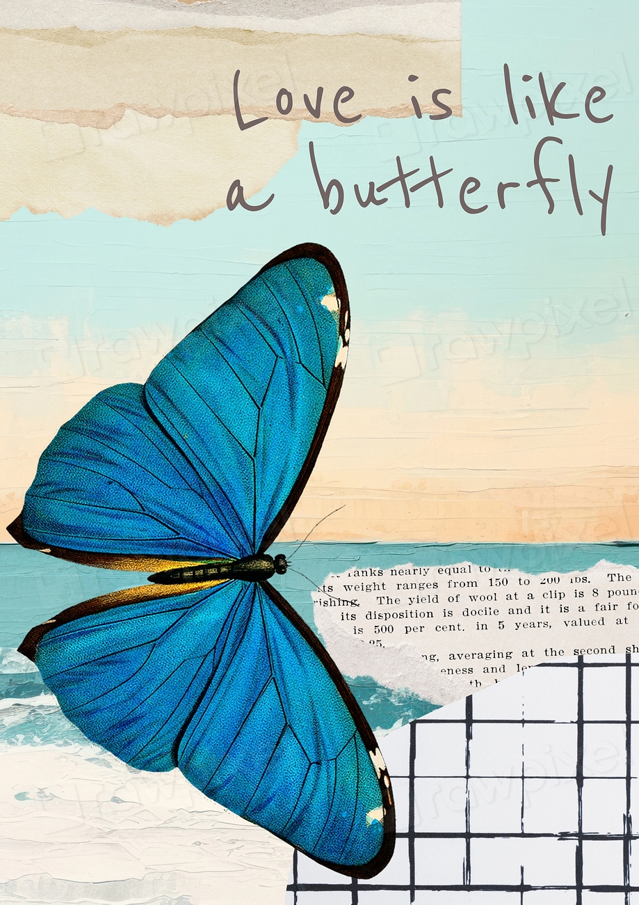 Love is like butterfly poster | Free Photo - rawpixel