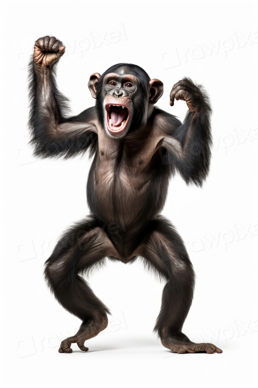 Happy smiling chimpanzee dancing wildlife | Free Photo - rawpixel
