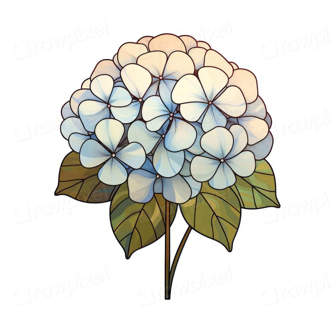 Glass Hydrangea hydrangea flower plant. | Free Photo Illustration ...