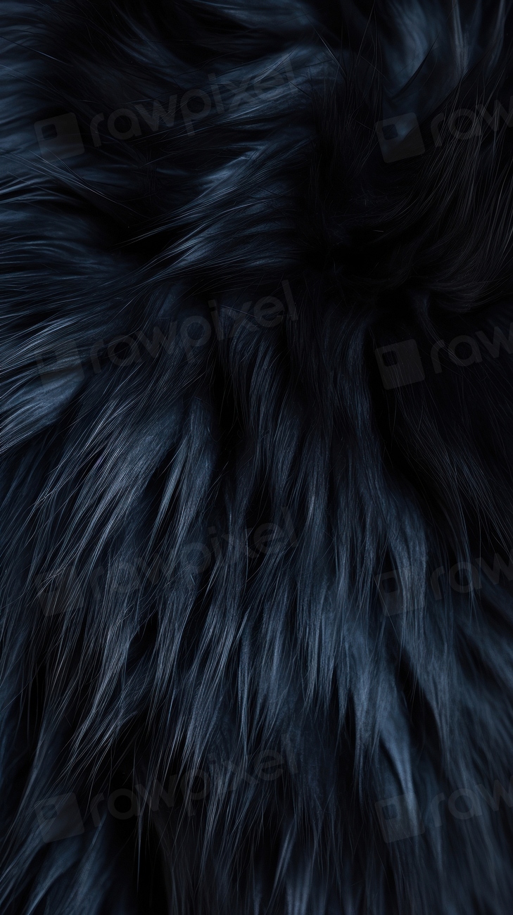 Black cat fur backgrounds softness | Free Photo - rawpixel