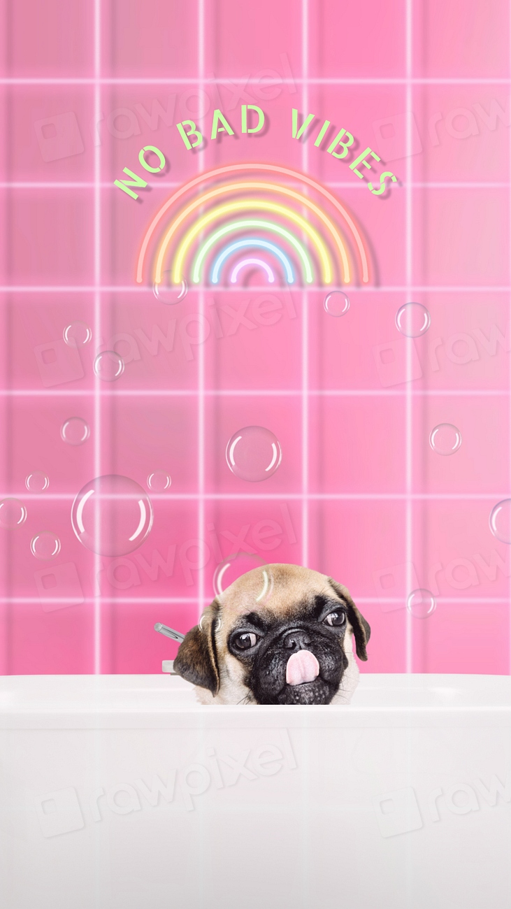 Positive quote pink iPhone wallpaper | Premium Photo - rawpixel