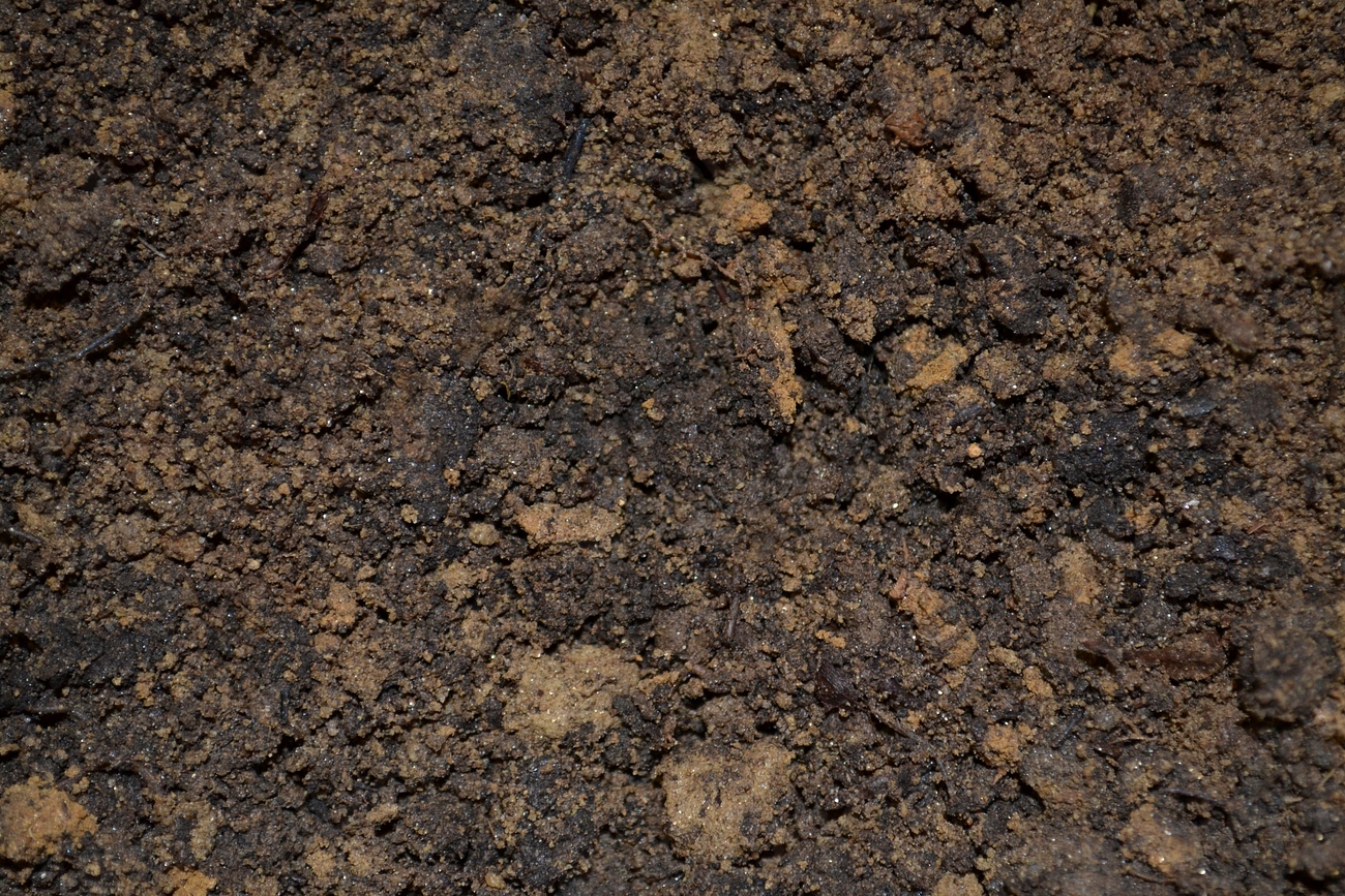Free soil image, public domain | Free Photo - rawpixel