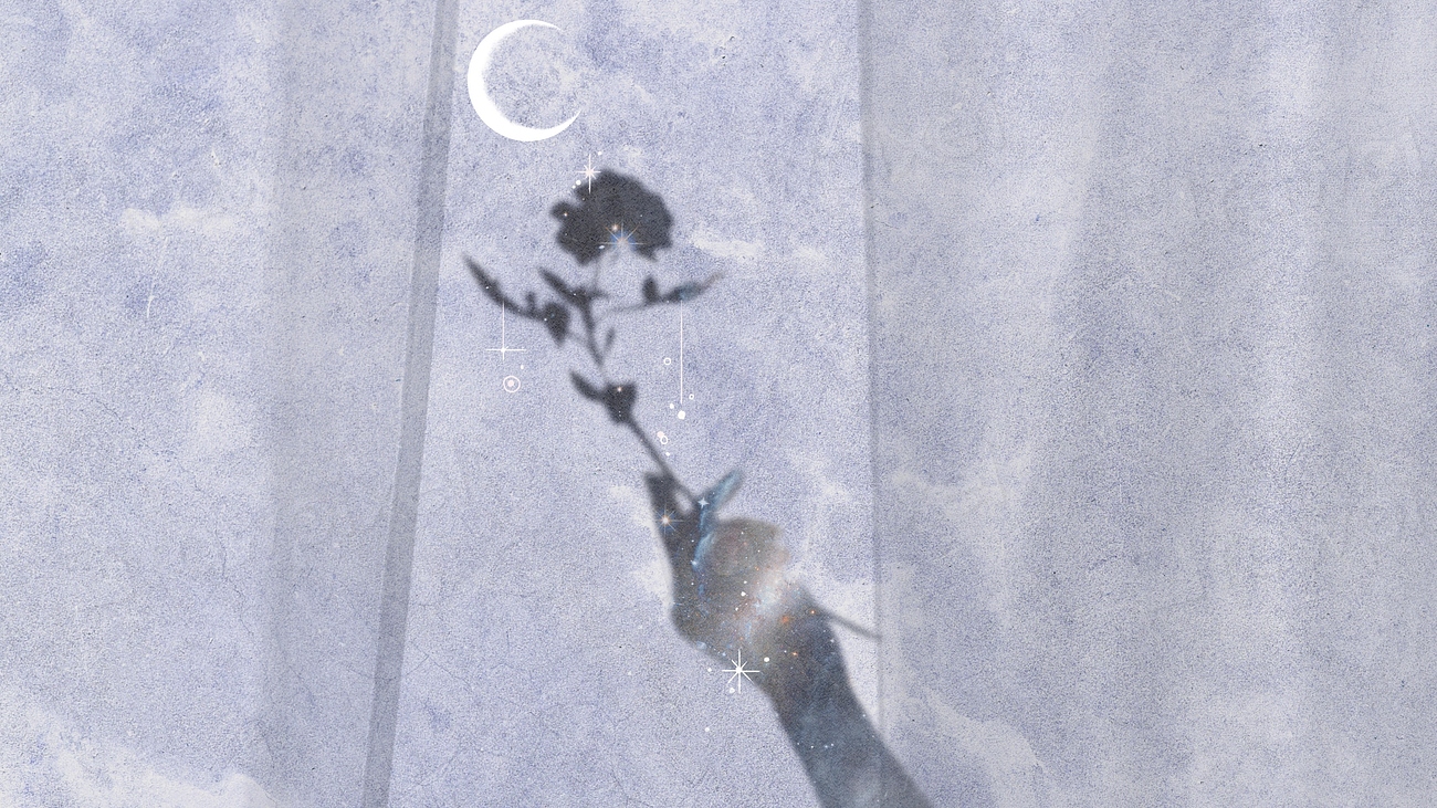 Hand holding flower HD wallpaper, | Premium Photo Illustration - rawpixel