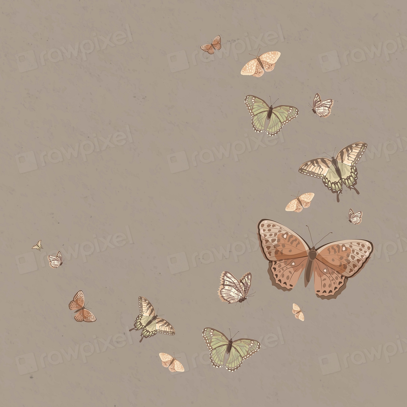 Earth tone butterfly border frame, | Premium PSD - rawpixel