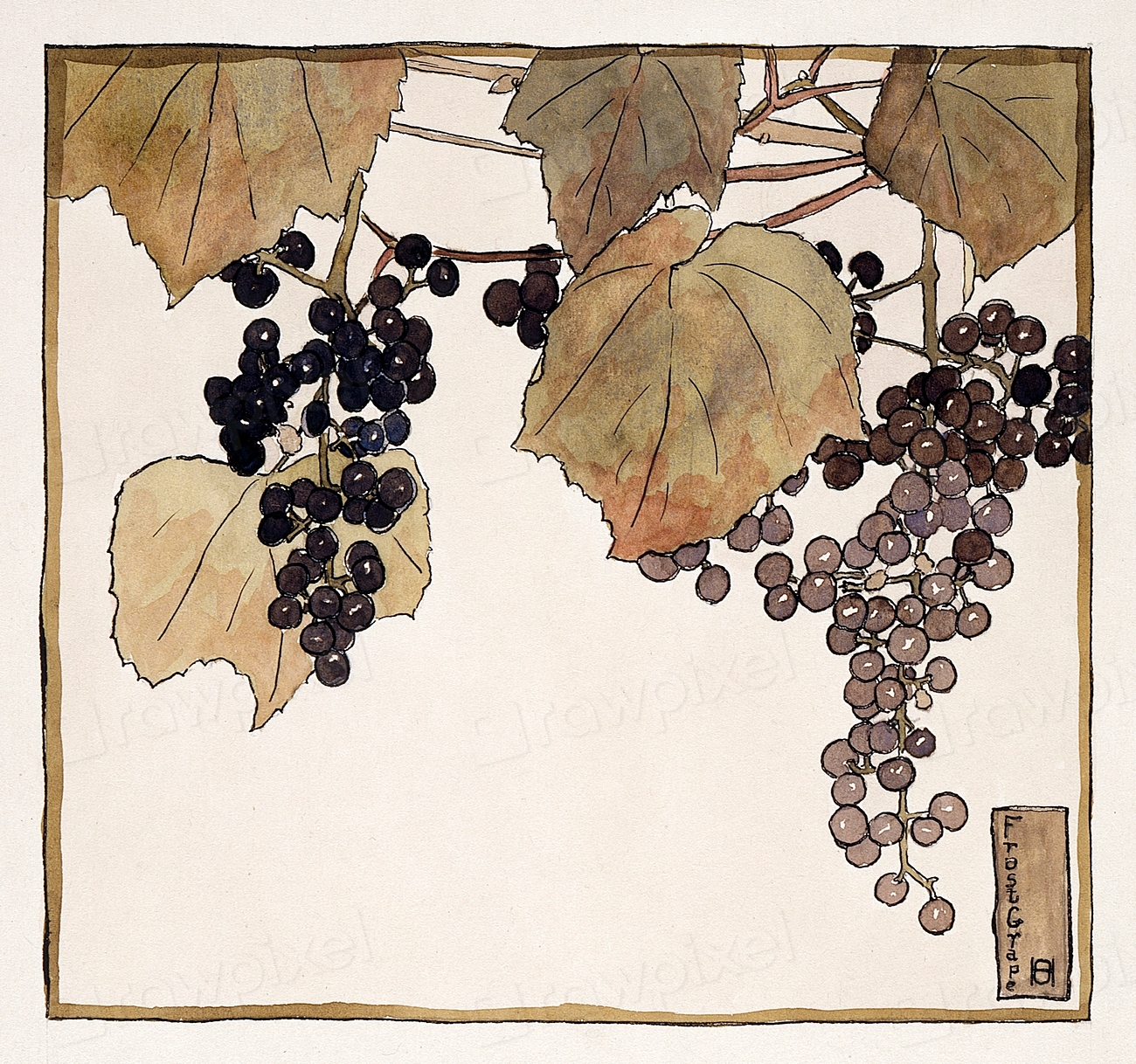Frost Grape (1915) Hannah Borger | Free Photo Illustration - rawpixel