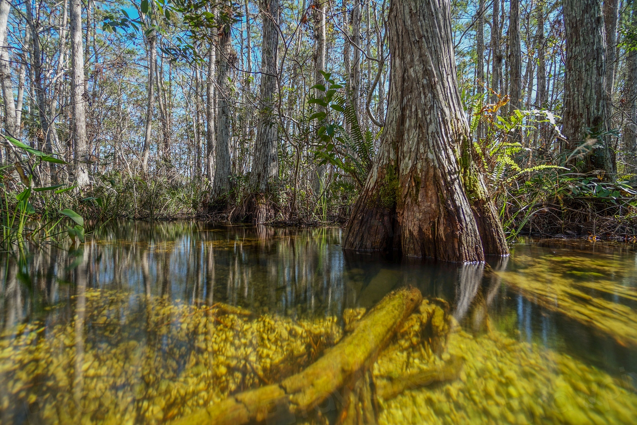 Original public domain image from Flickr | Free Photo - rawpixel