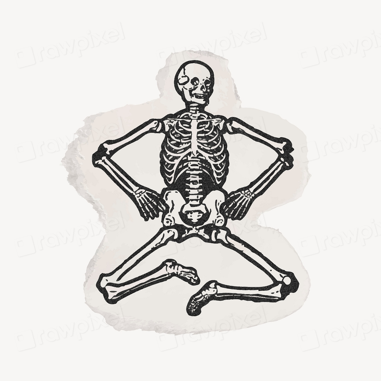 Human skeleton ripped paper clipart, | Premium Vector Illustration ...