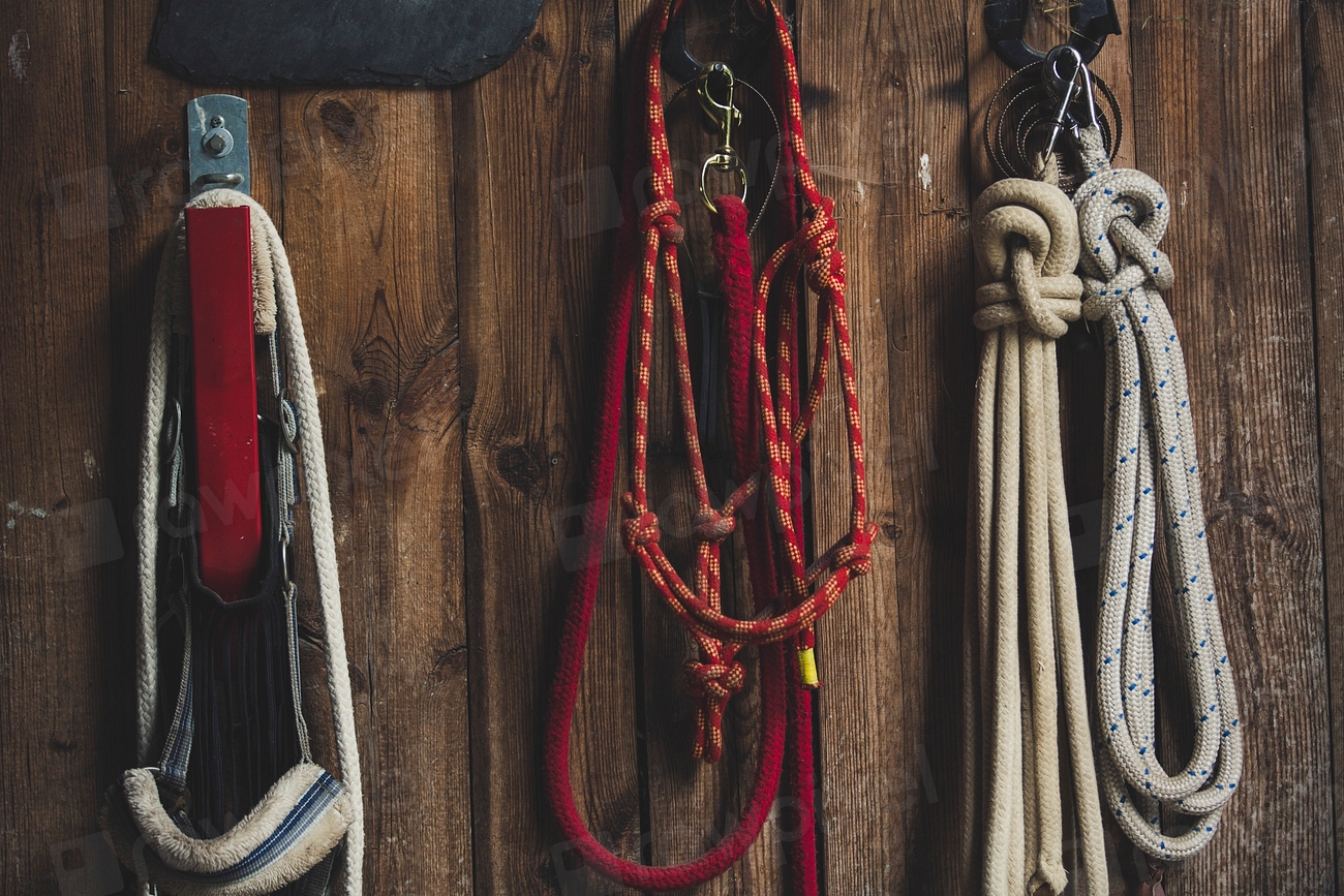 Different types of ropes hanging | Free Photo - rawpixel
