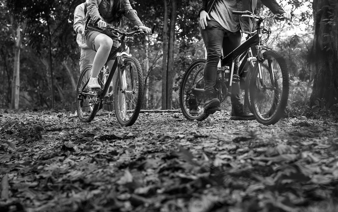 Group friends ride mountain bike | Free Photo - rawpixel