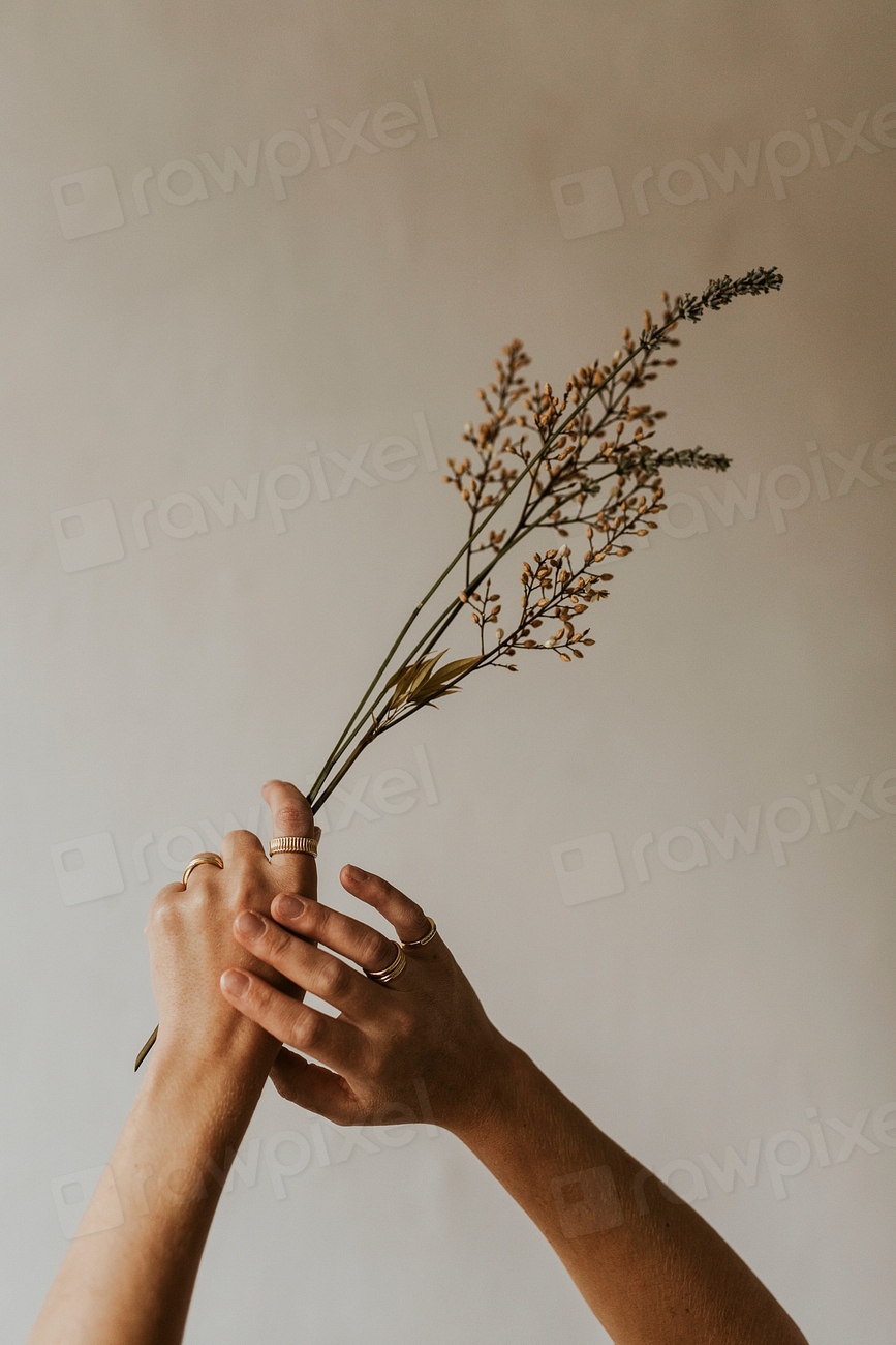 Aesthetic hands flowers, beige background | Premium Photo - rawpixel