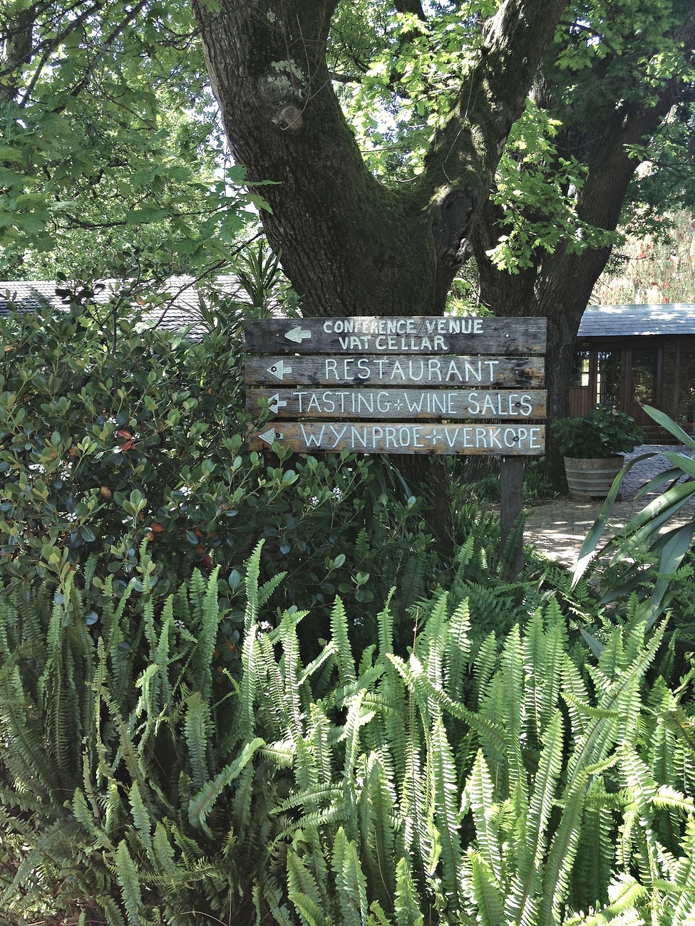 Wooden signs in a garden | Free Photo - rawpixel