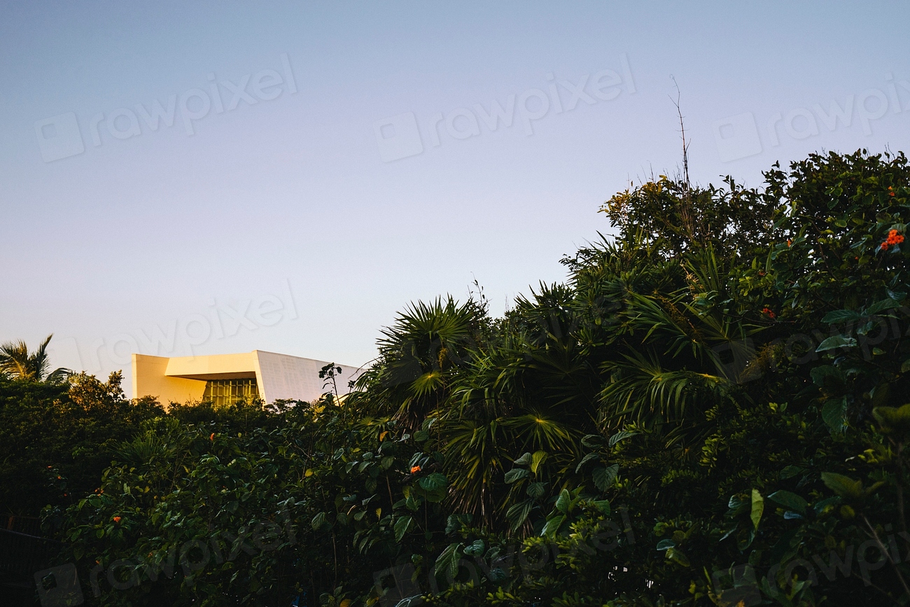 Scenic greenery view from an | Free Photo - rawpixel