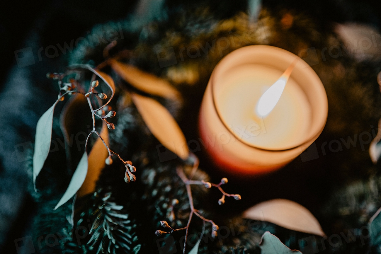 Candle pine tree. Visit Kaboompics | Free Photo - rawpixel