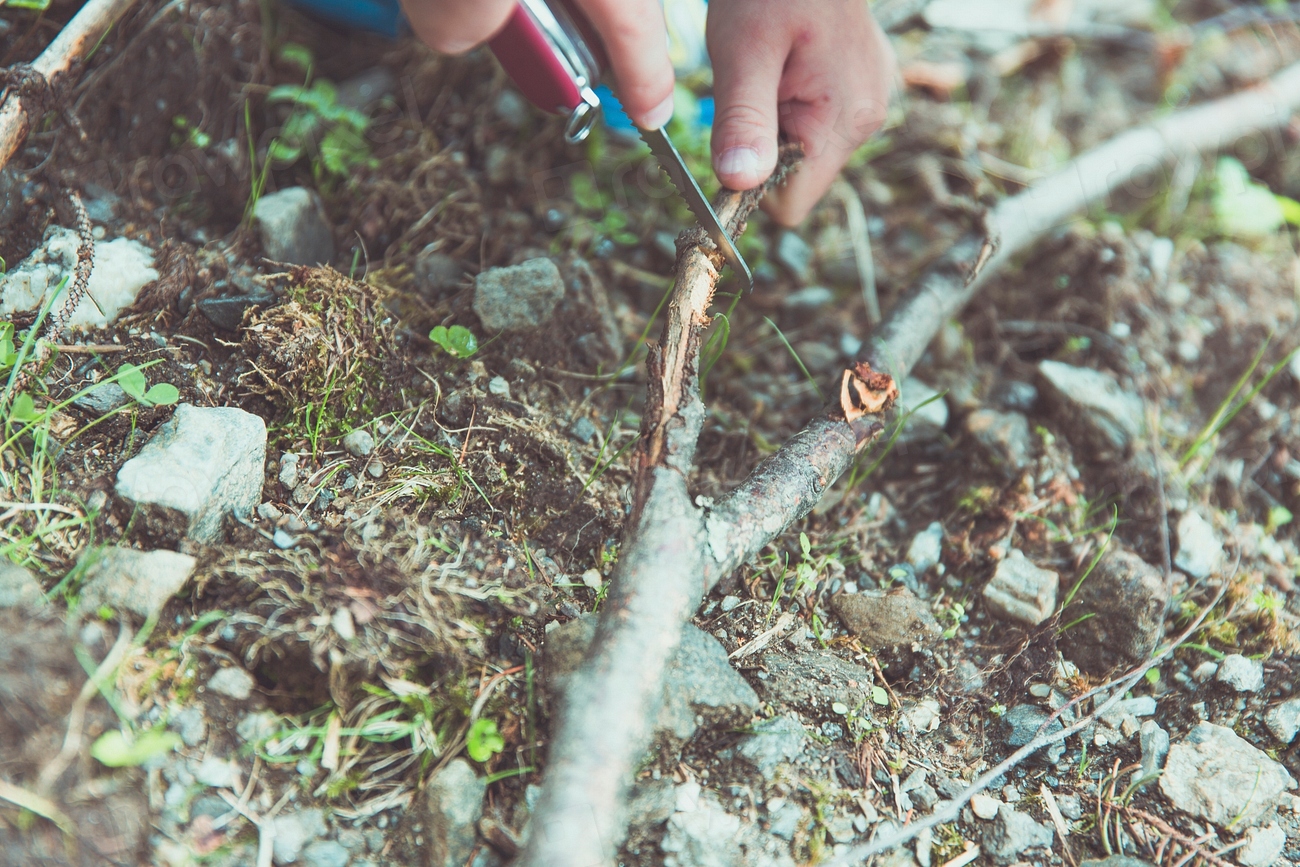Man cutting a twig | Free Photo - rawpixel