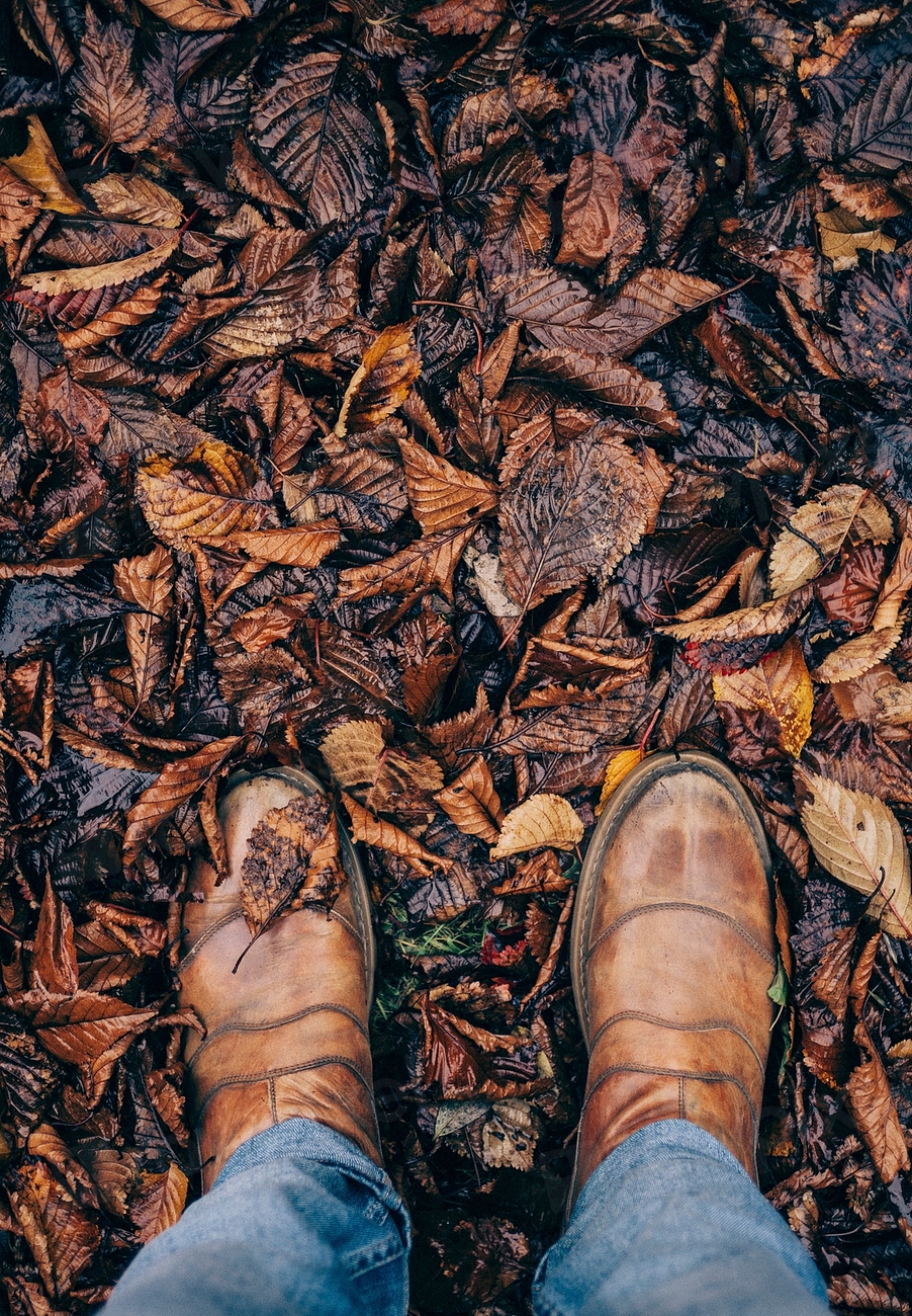 Man standing in the autumn | Free Photo - rawpixel