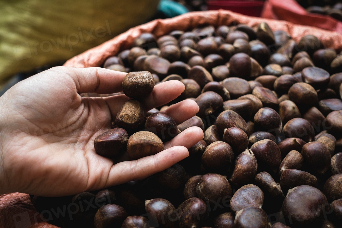 Chestnuts | Free Photo - rawpixel