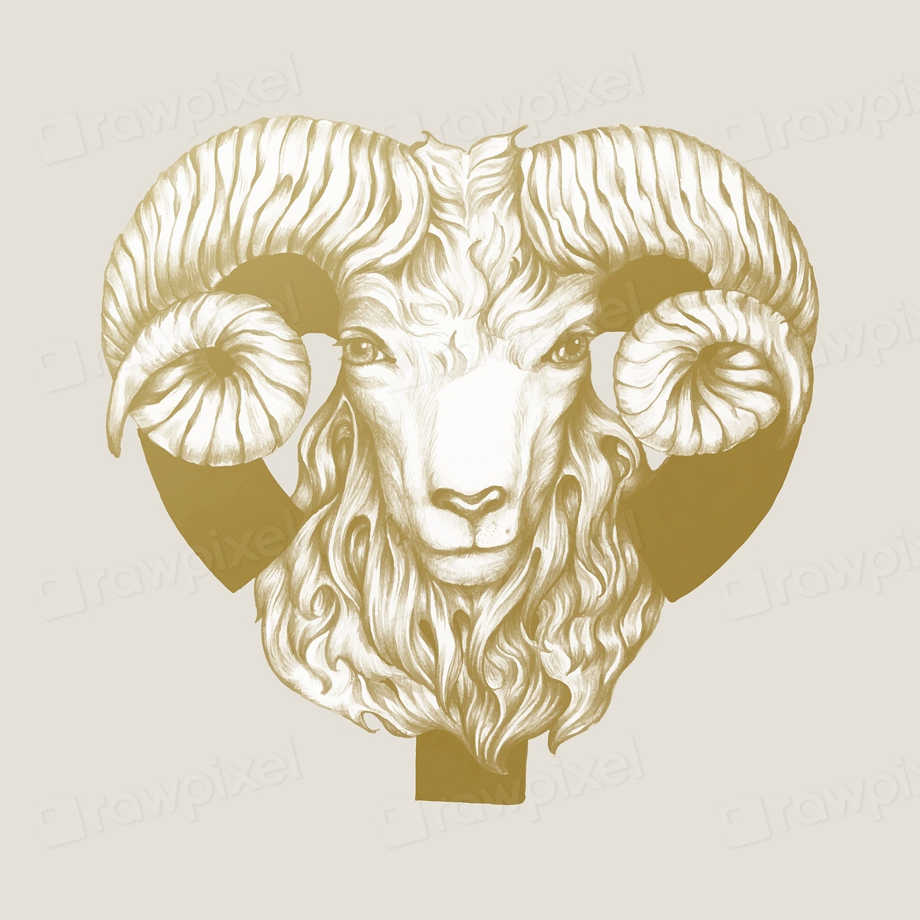 Hand drawn horoscope symbol Aries | Premium Vector Illustration - rawpixel