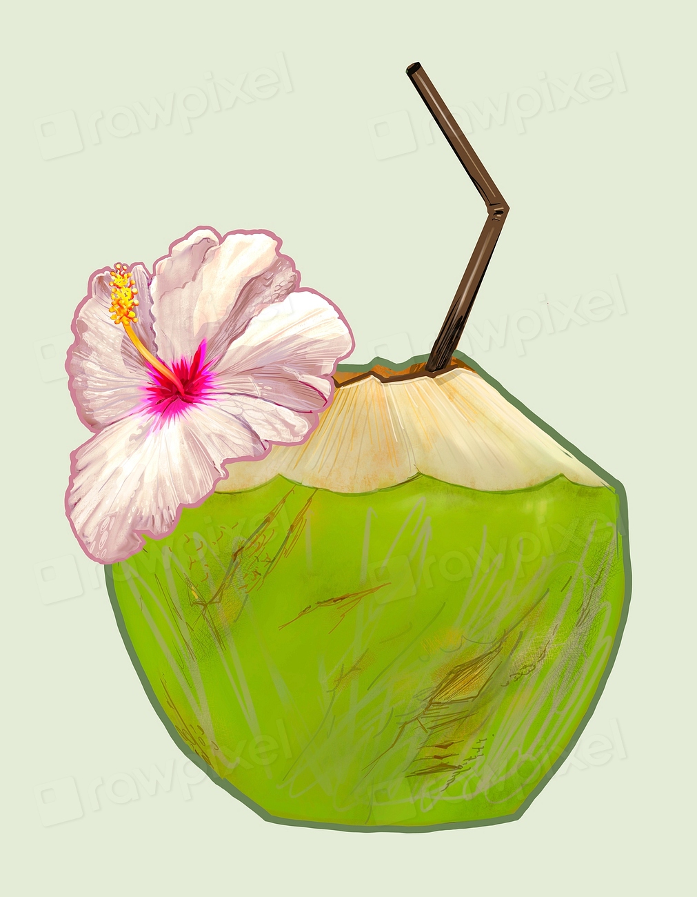 Tropical fresh young coconut illustration | Premium PSD - rawpixel