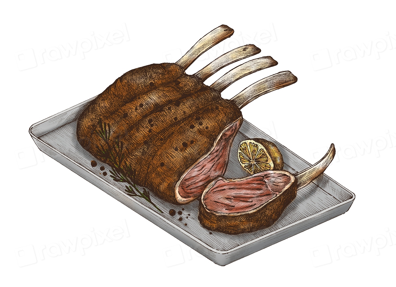 Hand-drawn rack of lamb | Free Photo Illustration - rawpixel