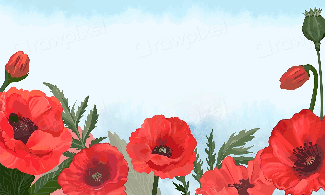 Hand drawn poppies blue background | Premium Vector - rawpixel