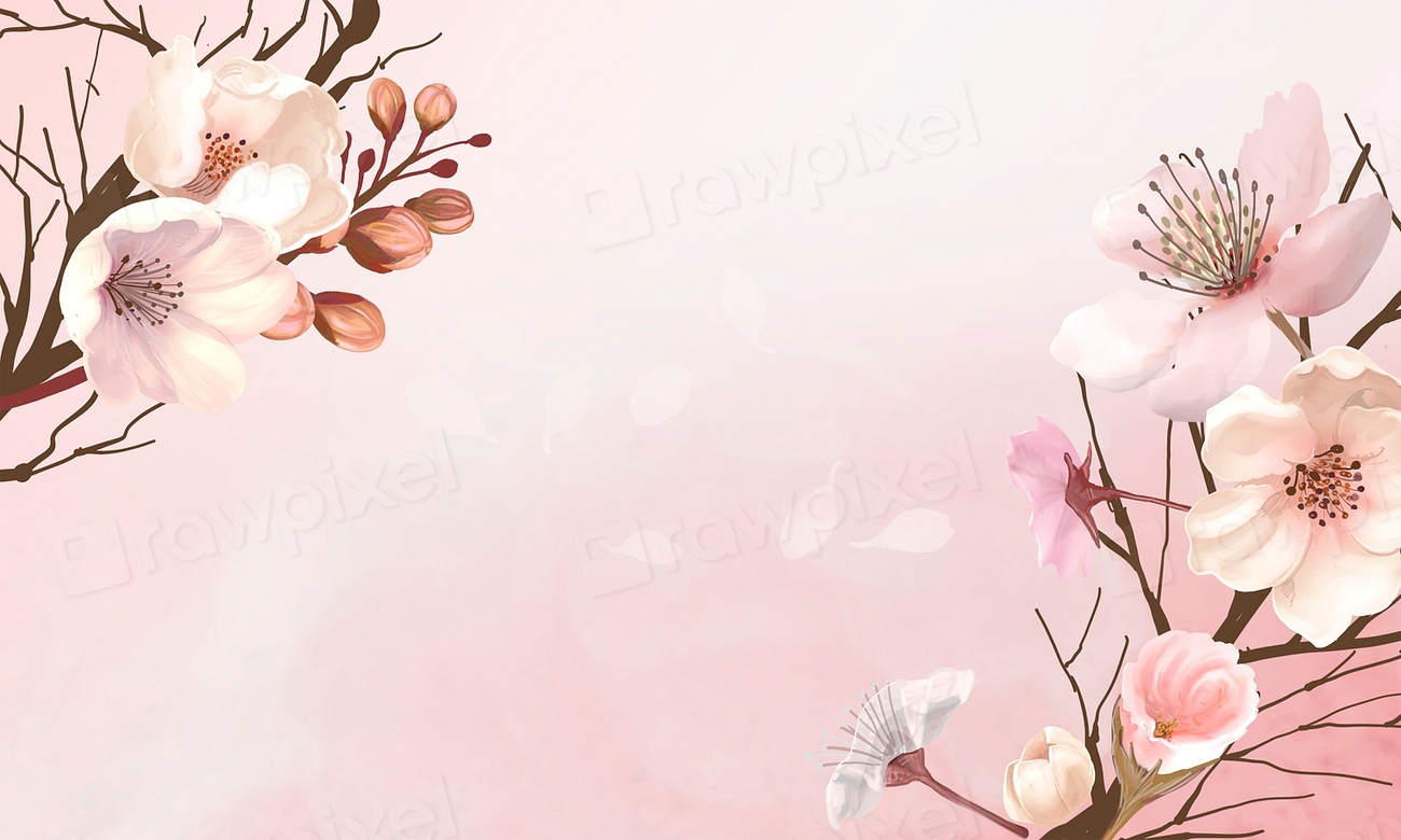Hand drawn cherry blossoms pink | Premium PSD - rawpixel
