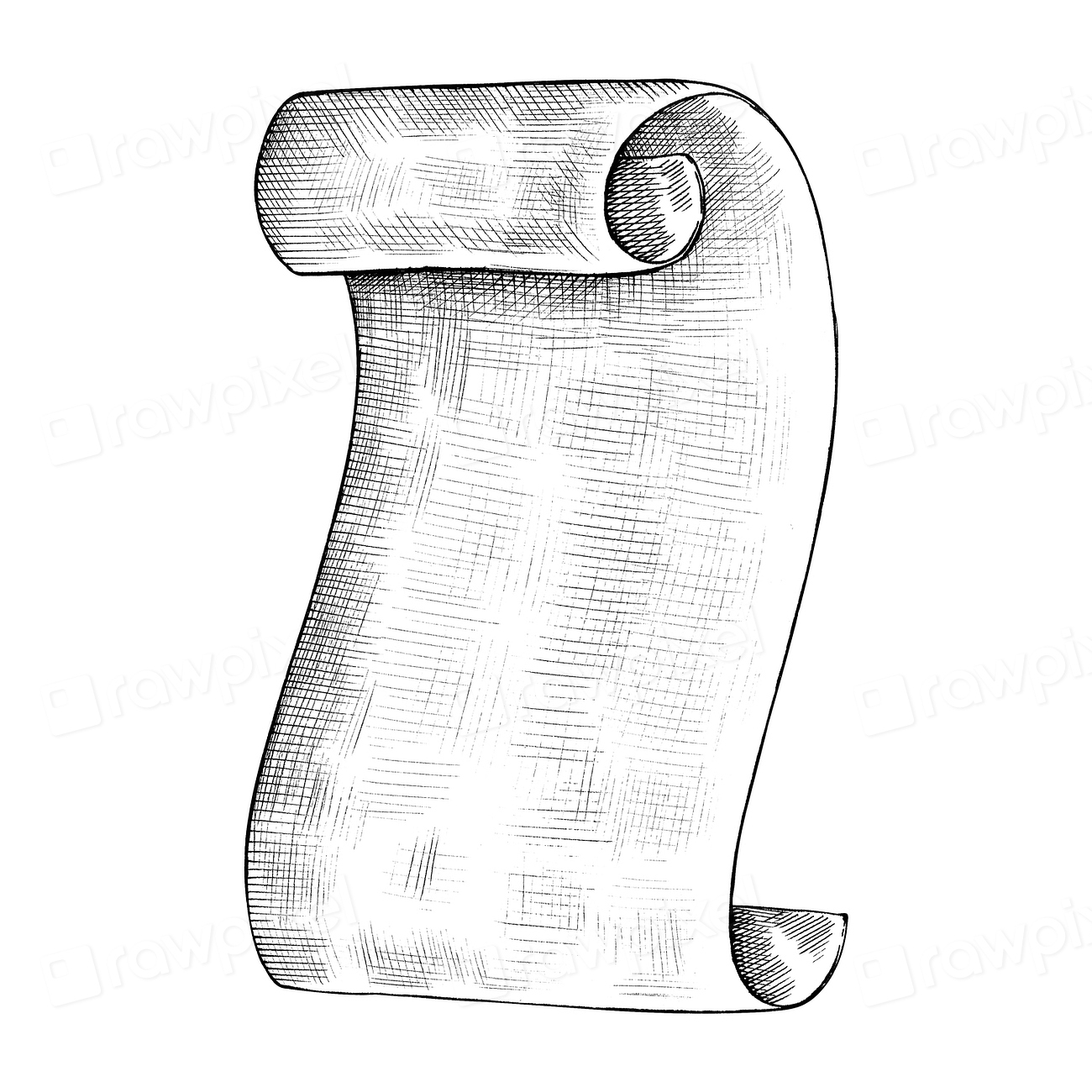 Hand drawn parchment paper roll | Free Photo Illustration - rawpixel