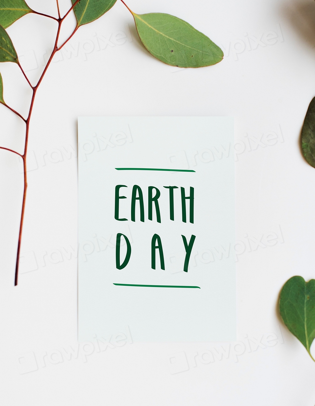 Earth day card supporting environmental | Premium Photo - rawpixel