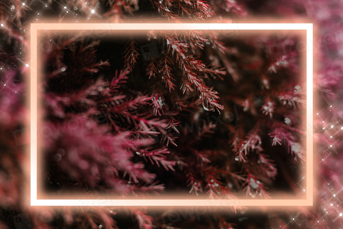 Botanic neon spruce frame psd | Premium PSD - rawpixel